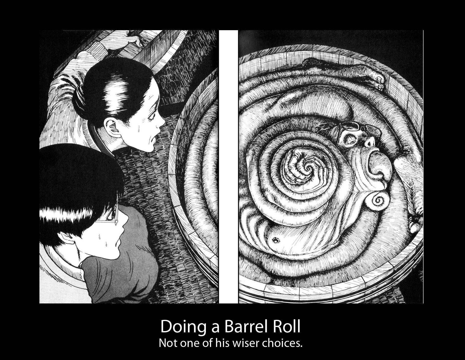 [Image - 1353] | Do a Barrel Roll | Know Your Meme