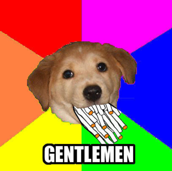 [Image - 1999] | Advice Dog | Know Your Meme