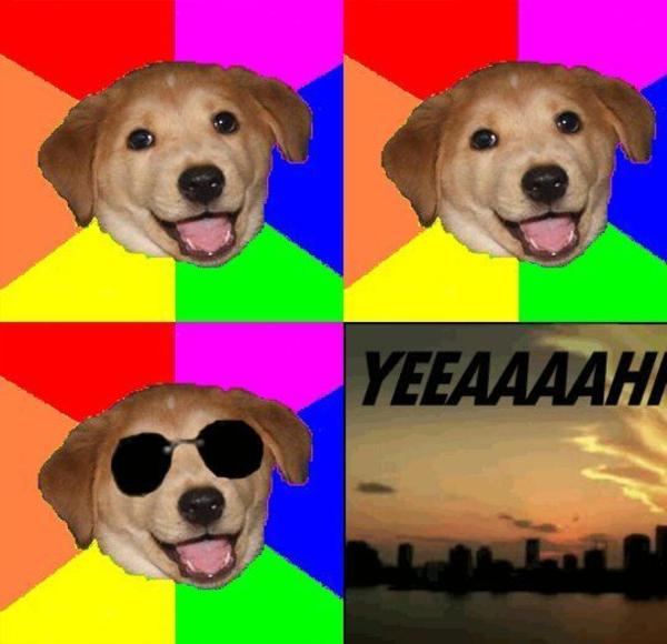 [Image - 2013] | Advice Dog | Know Your Meme