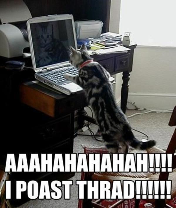 Image 2146 Lolcats Know Your Meme