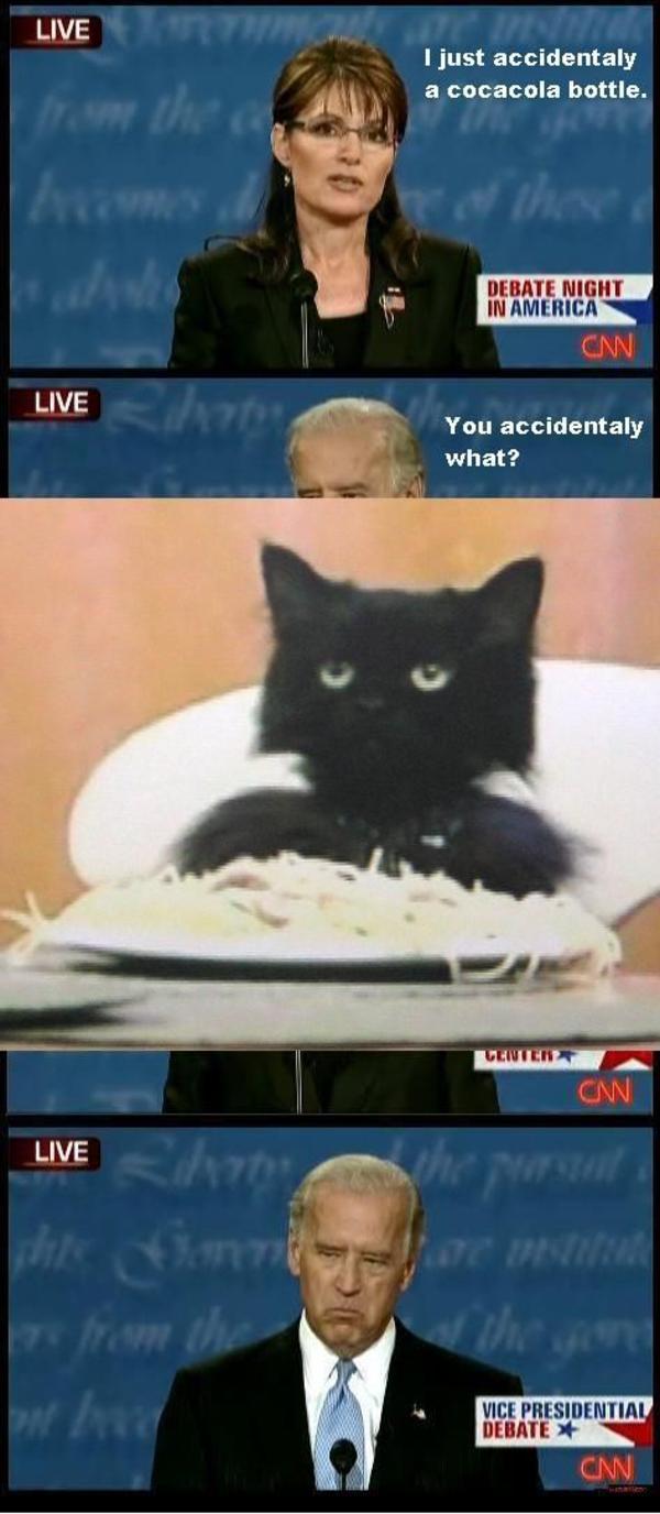 [Image - 2233] | Spaghetti Cat | Know Your Meme