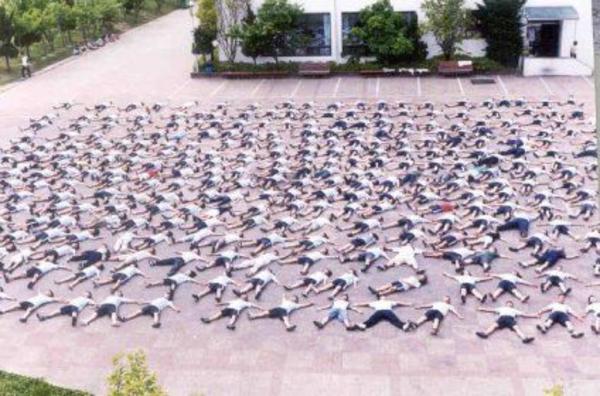 [Image - 2432] | Playing Dead | Know Your Meme