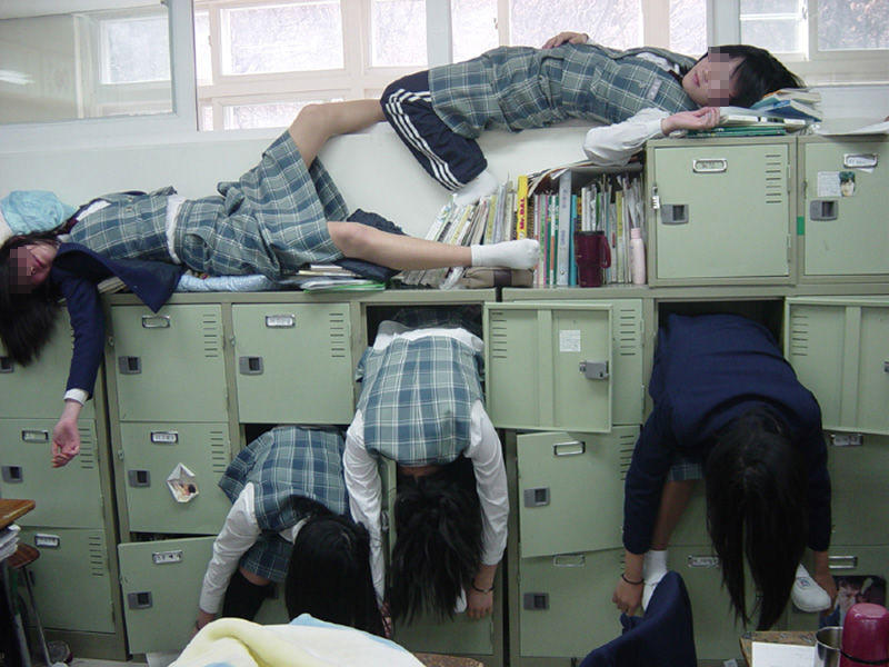 [Image - 2446] | Playing Dead | Know Your Meme