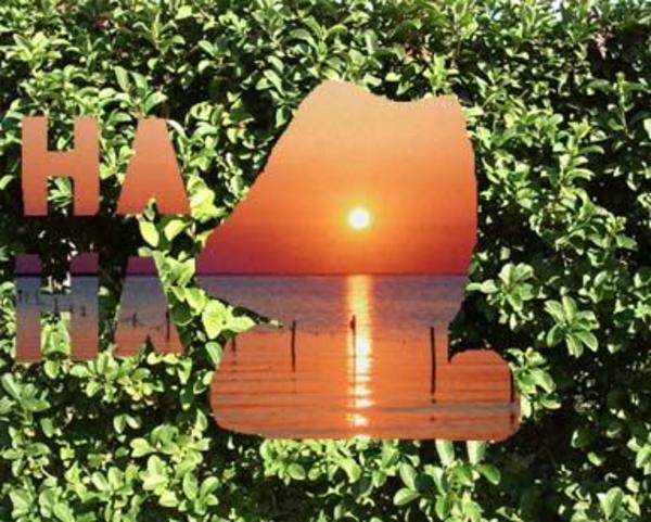 [Image - 2499] | Ha! Ha! Guy | Know Your Meme