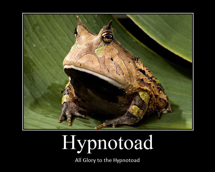 [Image - 2778] | Hypnotoad | Know Your Meme