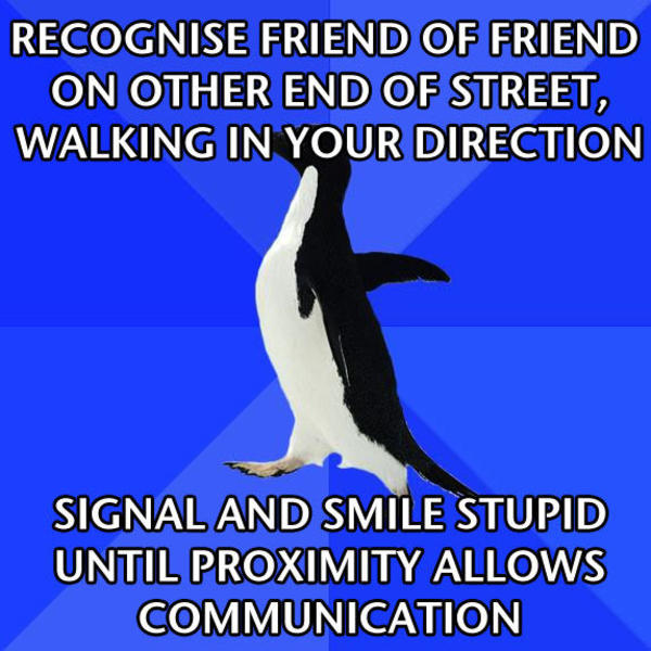 [Image - 2786] | Socially Awkward Penguin | Know Your Meme