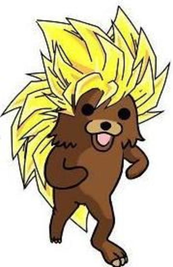 [Image - 2815] | Pedobear | Know Your Meme