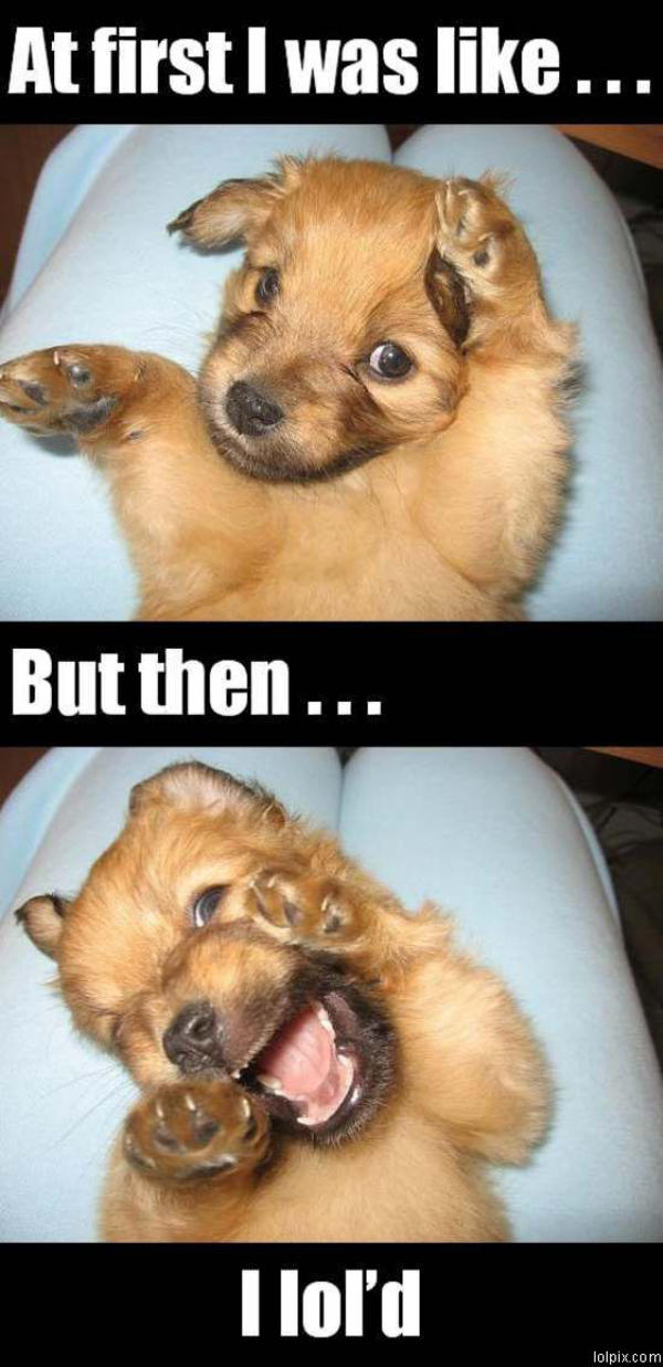 [Image - 3152] | At First, I Was Like, But Then, I Was Like | Know Your ...