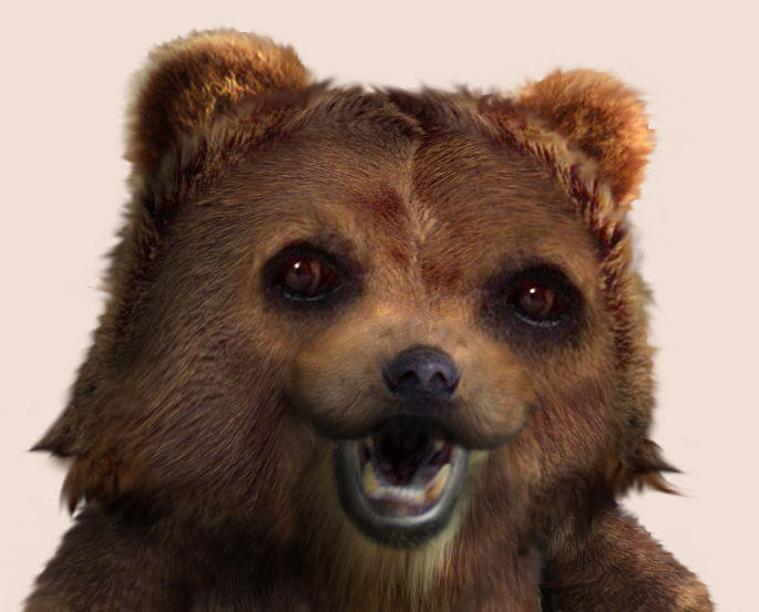 [Image - 3523] | Pedobear | Know Your Meme