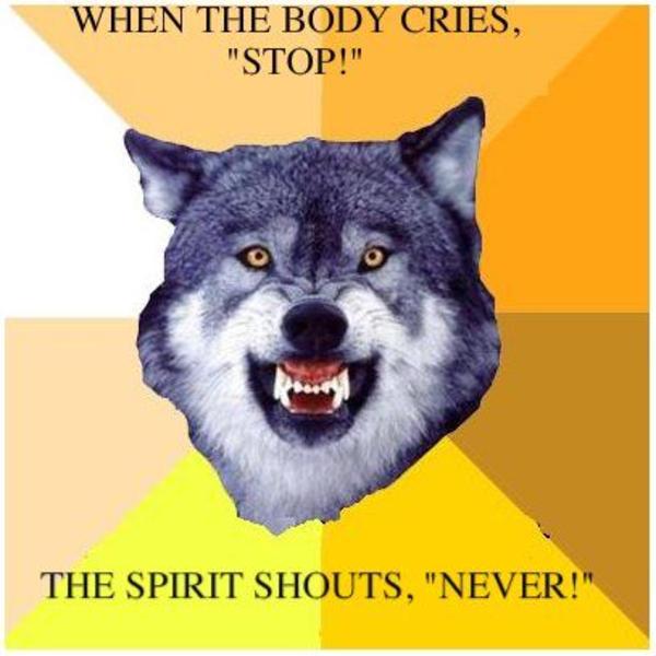 [Image - 4270] | Courage Wolf | Know Your Meme