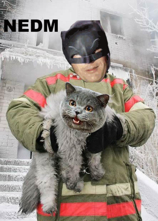 [Image - 4768] | NEDM | Know Your Meme