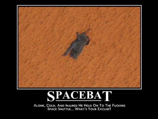 [Image - 5779] | Space Bat | Know Your Meme
