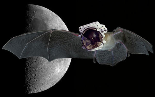 [Image - 5783] | Space Bat | Know Your Meme