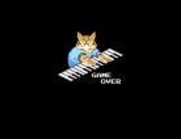 [Image - 6028] | Keyboard Cat | Know Your Meme