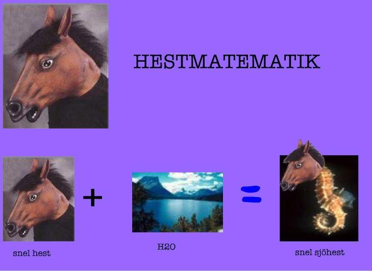 [Image - 6873] | Snel hest | Know Your Meme