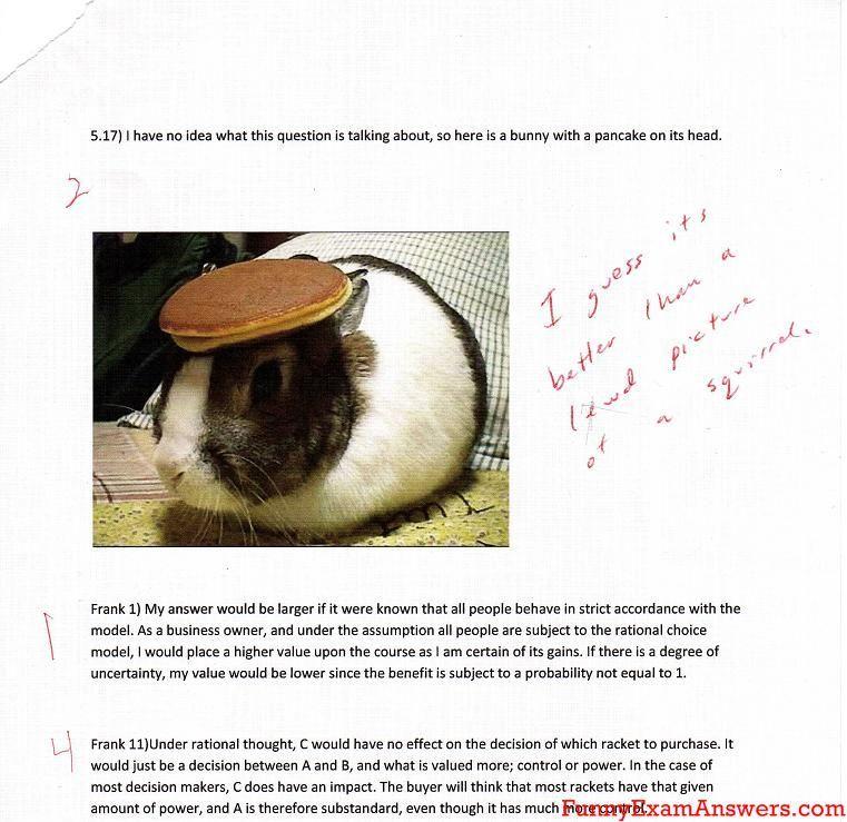 [Image - 7652] | Pancake Bunny | Know Your Meme