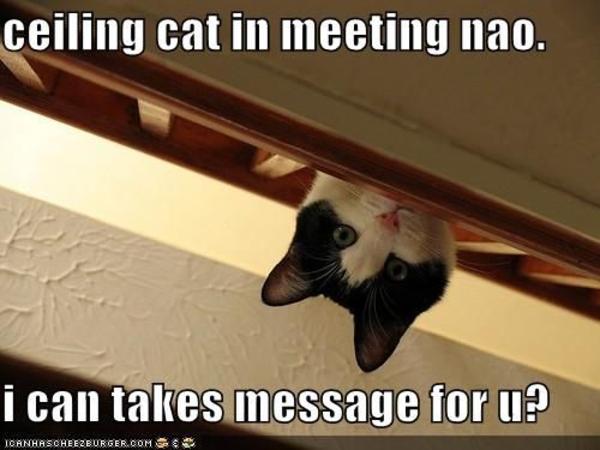 [Image - 8103] | Ceiling Cat | Know Your Meme