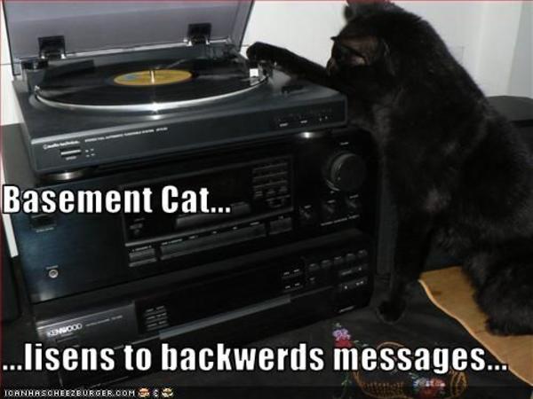 [Image - 8335] | Basement Cat | Know Your Meme