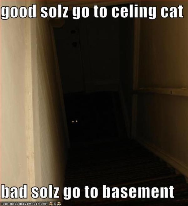 [Image - 8512] | Basement Cat | Know Your Meme
