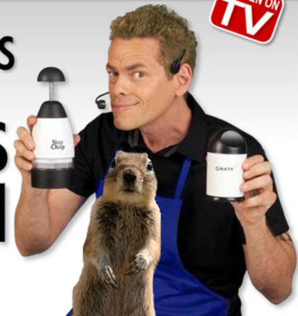 [Image - 8803] | Crasher Squirrel | Know Your Meme