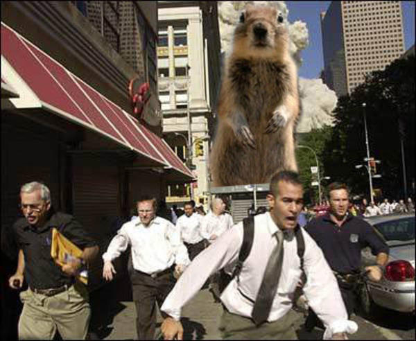 [Image - 8804] | Crasher Squirrel | Know Your Meme