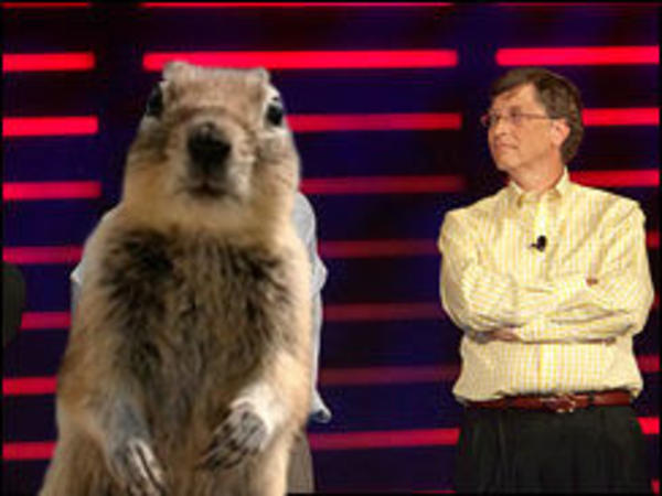 [Image - 8815] | Crasher Squirrel | Know Your Meme