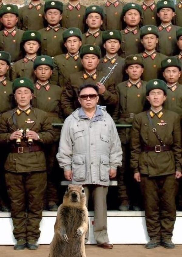 [Image - 8827] | Crasher Squirrel | Know Your Meme