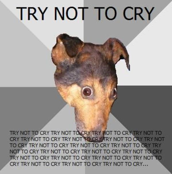 [Image - 9468] | Depression Dog | Know Your Meme