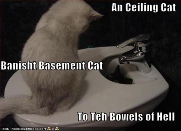 [Image - 9723] | Ceiling Cat | Know Your Meme