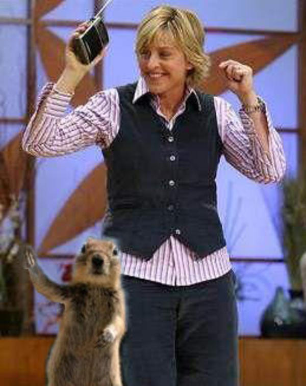 [Image - 9799] | Crasher Squirrel | Know Your Meme