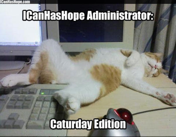 [Image - 10011] | Caturday | Know Your Meme