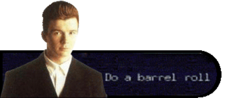 [Image - 10149] | Do a Barrel Roll | Know Your Meme