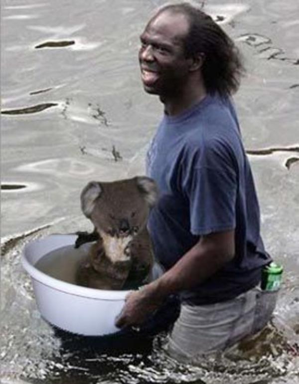 [Image - 10199] | Lootie | Know Your Meme