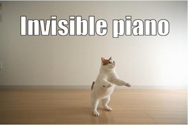 [Image - 10373] | Invisible Bike | Know Your Meme