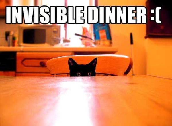 [Image - 10387] | Invisible Bike | Know Your Meme