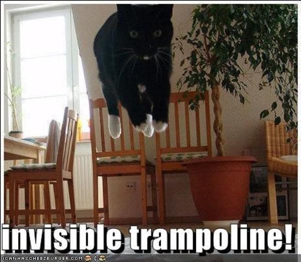 [Image - 10404] | Invisible Bike | Know Your Meme