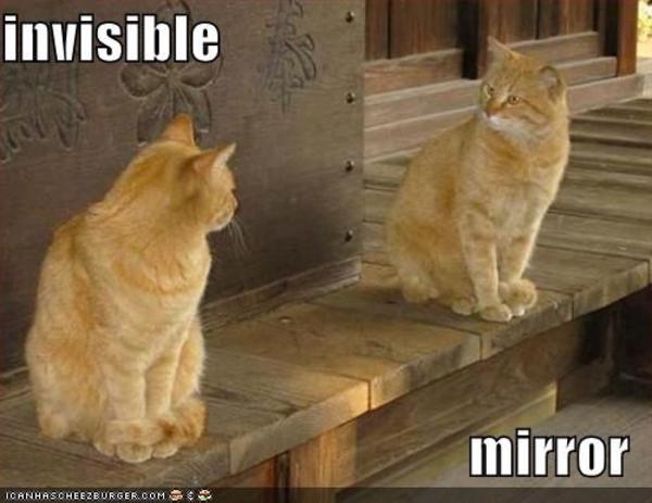 [Image - 10405] | Invisible Bike | Know Your Meme