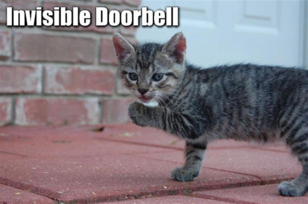 [Image - 10428] | Invisible Bike | Know Your Meme