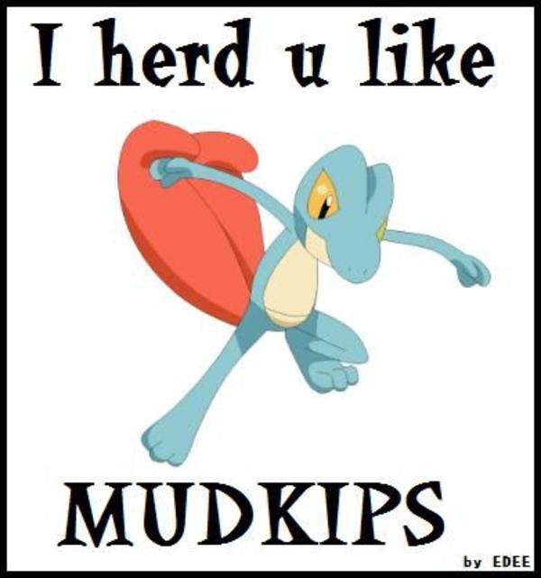 I herd u liek Treecko | I Herd U Liek Mudkips | Know Your Meme