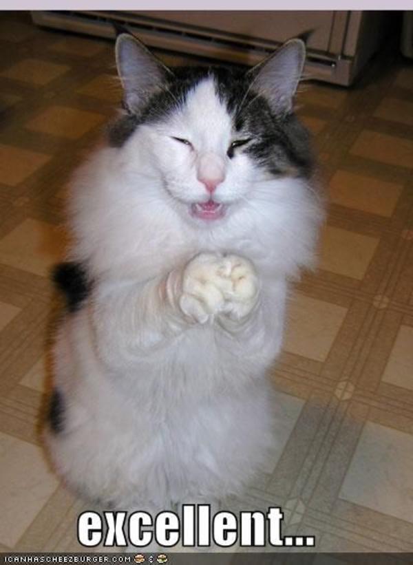 [Image - 10788] | LOLcats | Know Your Meme