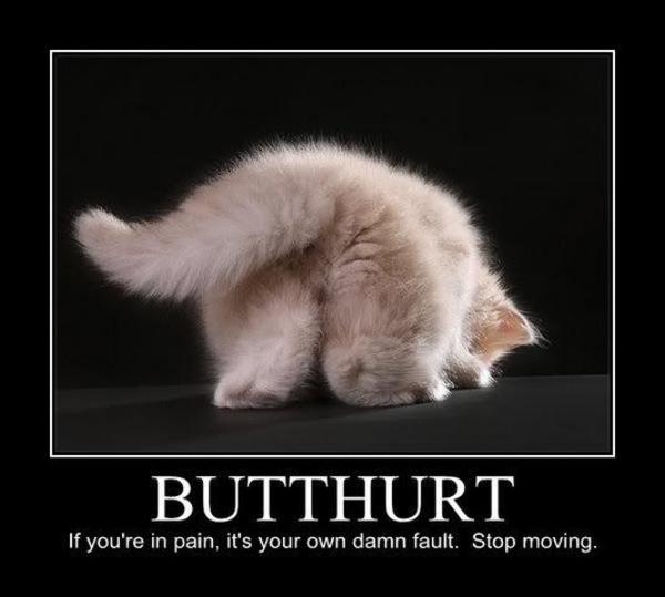 [Image - 10825] | Butthurt | Know Your Meme