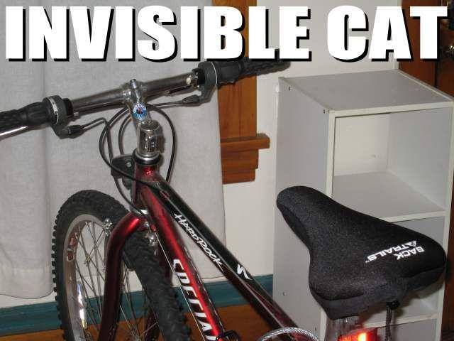 [Image - 11500] | Invisible Bike | Know Your Meme