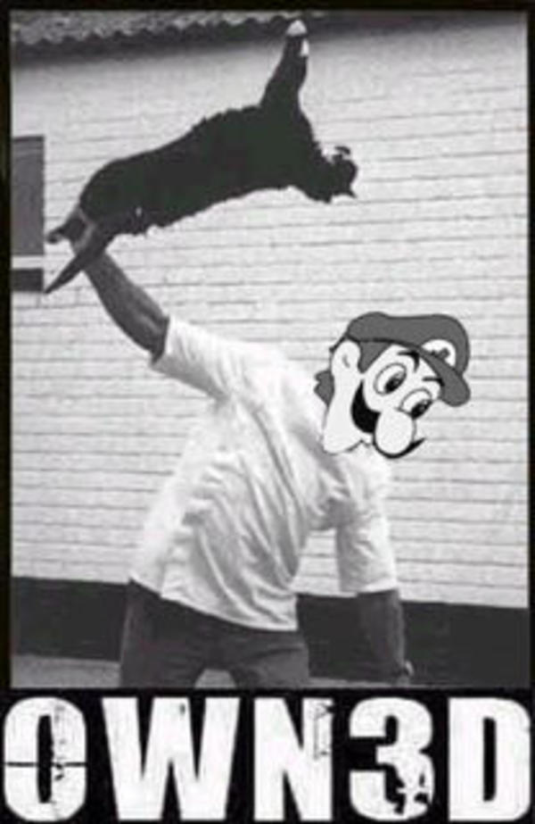 [Image - 12518] | OWNED (PWNED) | Know Your Meme