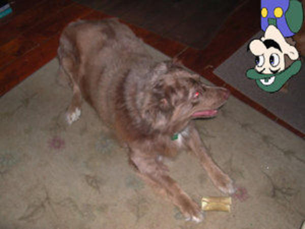 [Image - 14014] | Weegee | Know Your Meme