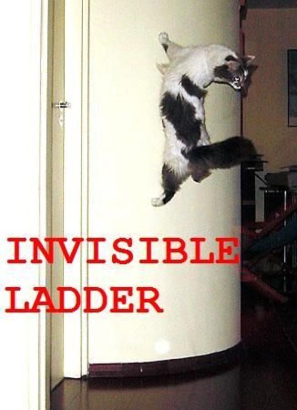 [Image - 14218] | Invisible Bike | Know Your Meme