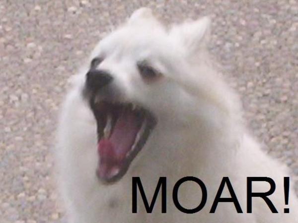 [Image - 14365] | MOAR | Know Your Meme