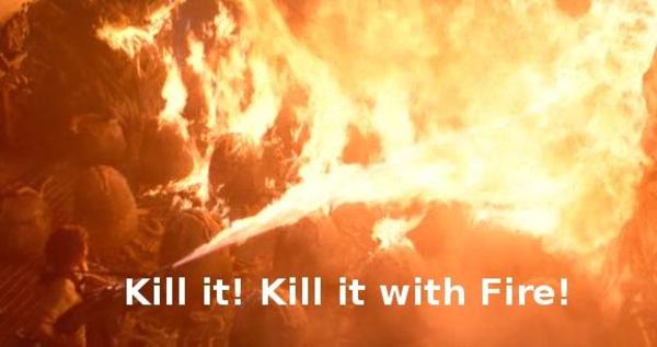 [Image - 14367] | Kill It With Fire | Know Your Meme