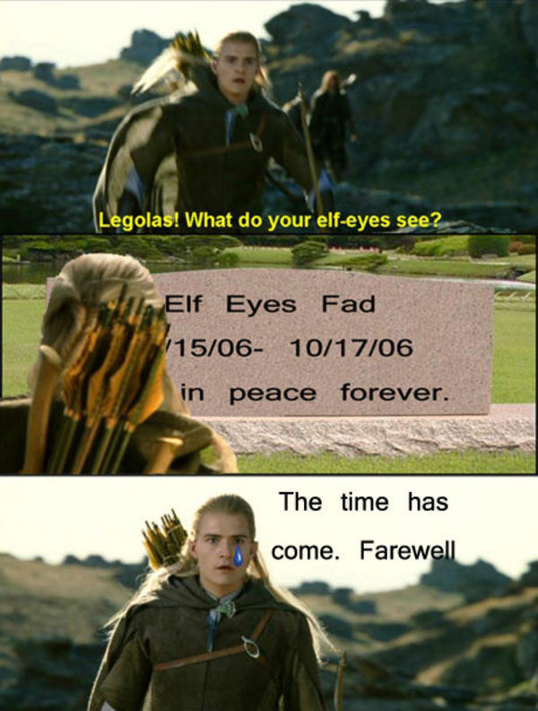 [Image - 14633] | What Do Your Elf Eyes See? | Know Your Meme