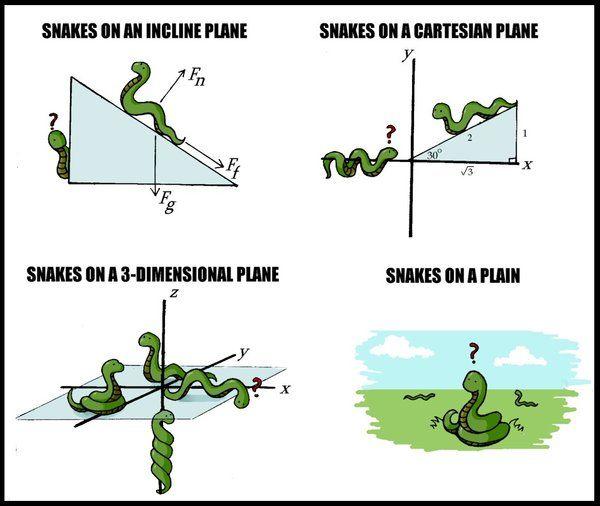 [Image - 15563] | Snakes on a Plane | Know Your Meme