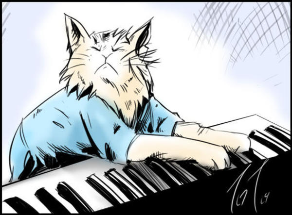 [Image - 15625] | Keyboard Cat | Know Your Meme